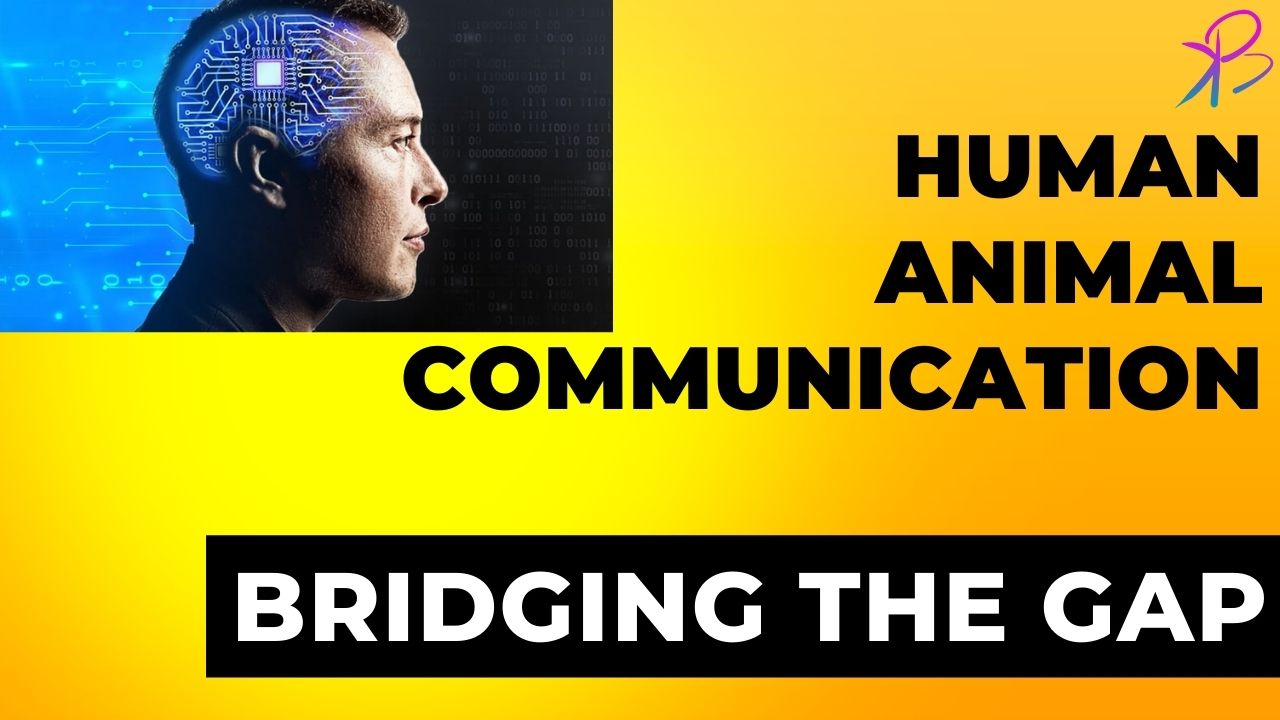 The Future of Human Animal Communication: How Technology is Bridging ...